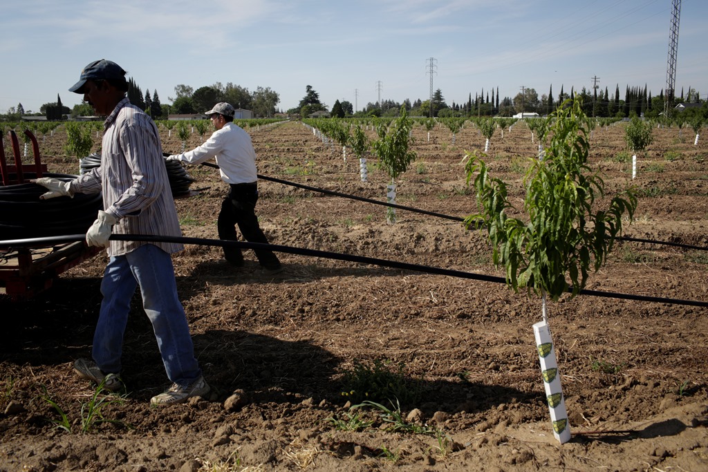 Drip Irrigation: Not the Drought-Buster You Thought — Water Deeply